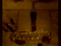 Constance Chambers presenta Carrying the cross - Facultad de Artes ...